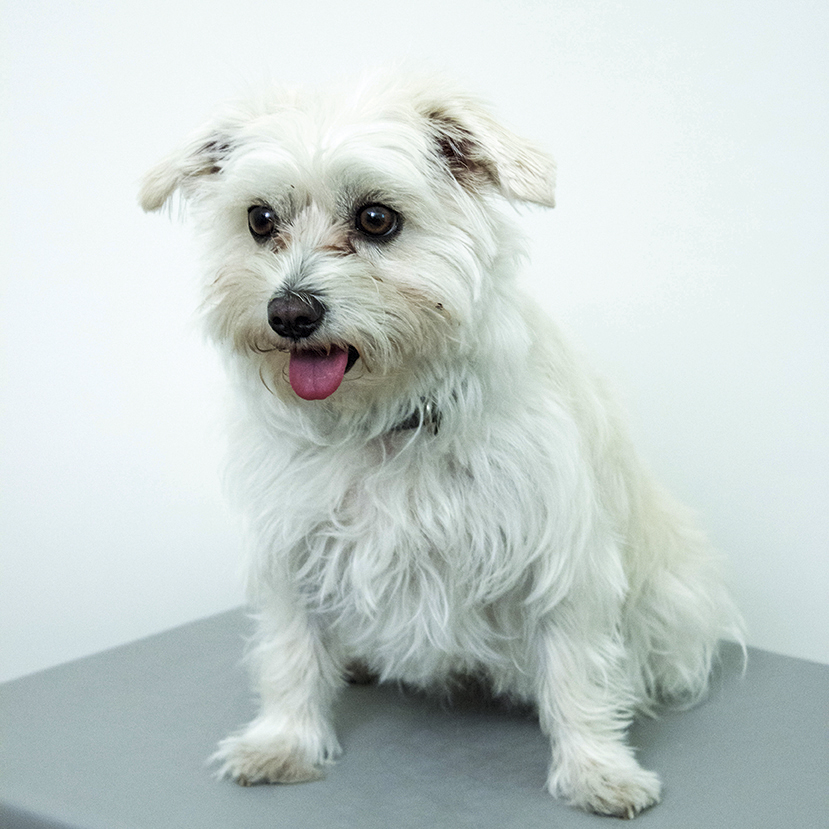 Unser Team - Thomas Leonhard